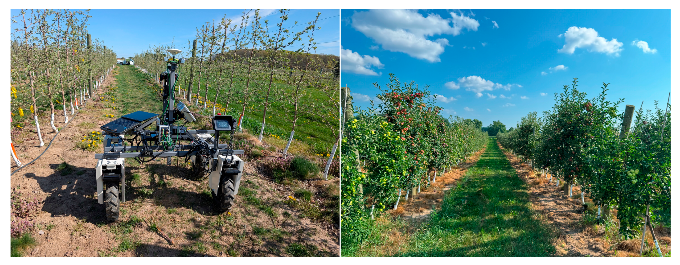 VR for Situational Awareness in Real-Time Orchard Architecture Assessment