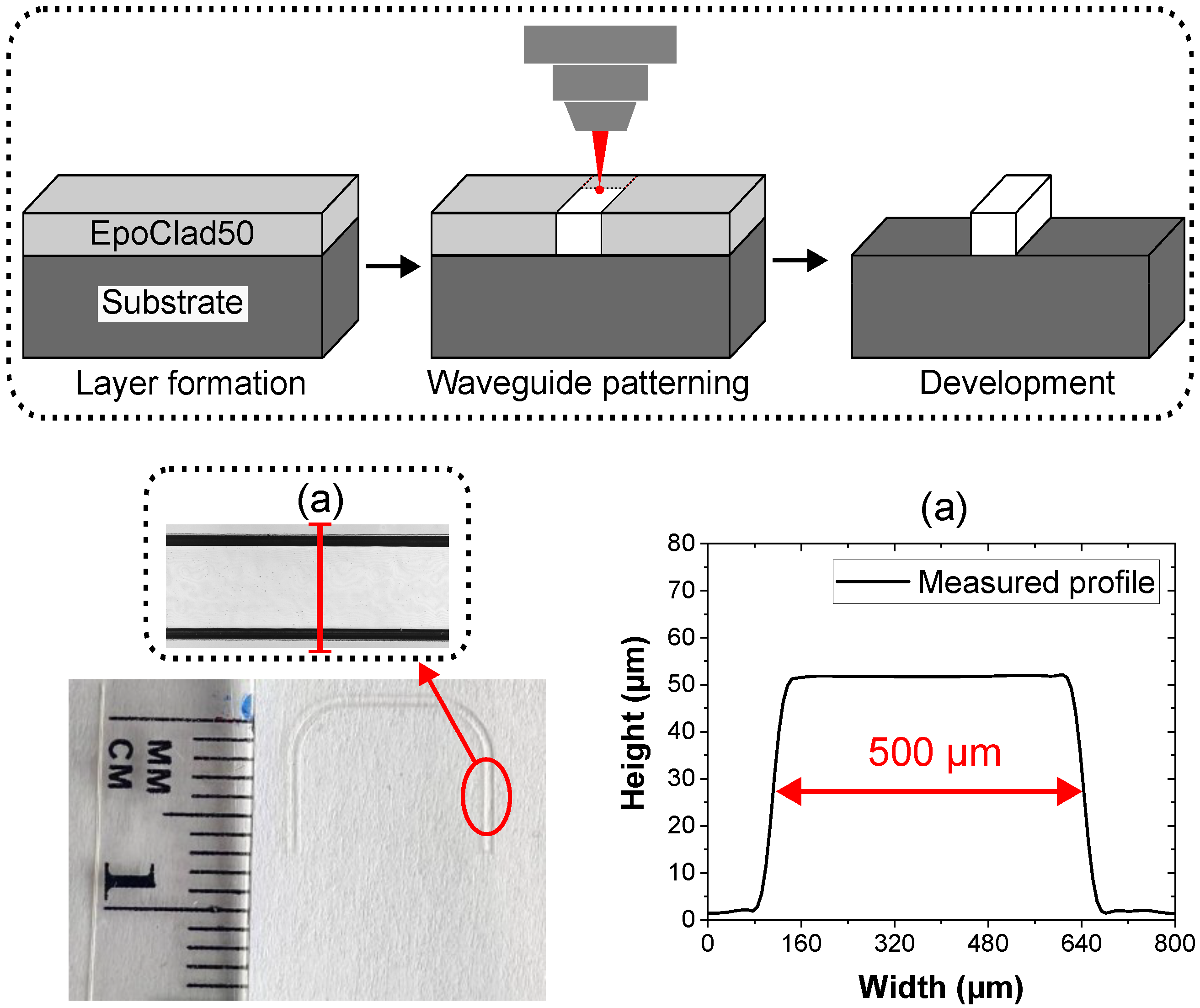 Flexible Sensor Foil Based on Polymer Optical Waveguide for Haptic ...