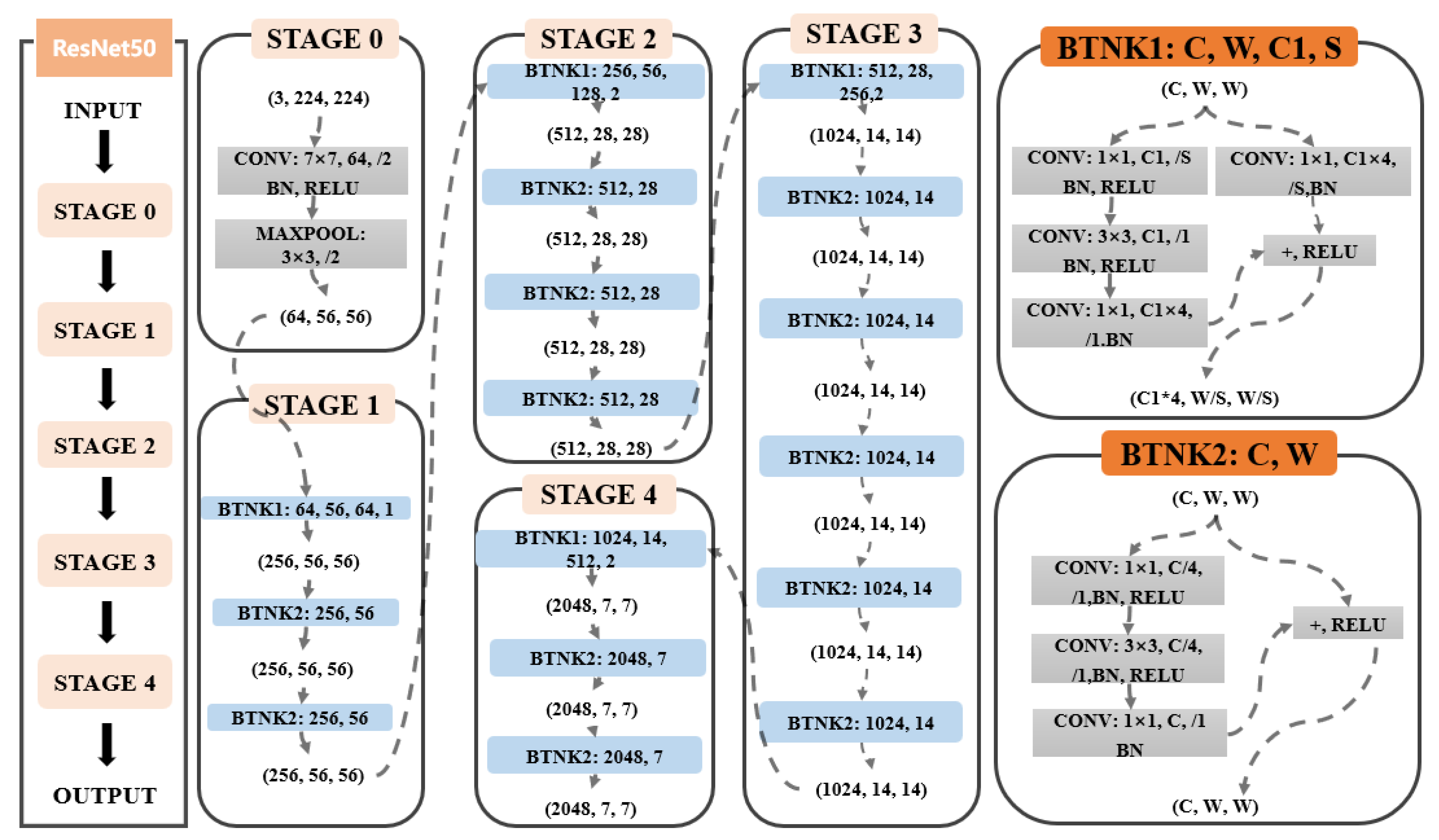 Enhanced FISH Image Classification via CBAM-PPM-Optimized ResNet50 for Precision Cytogenetic ...