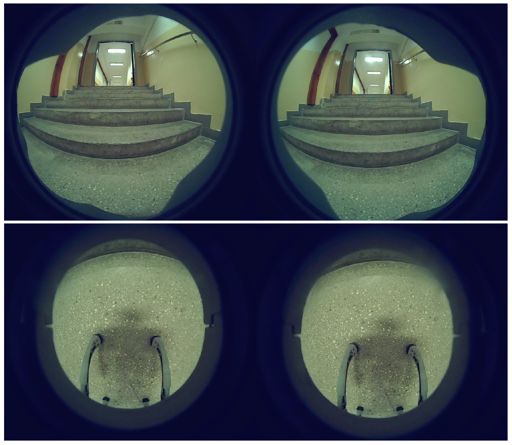 RGB-Based Staircase Detection for Quadrupedal Robots: Implementation ...