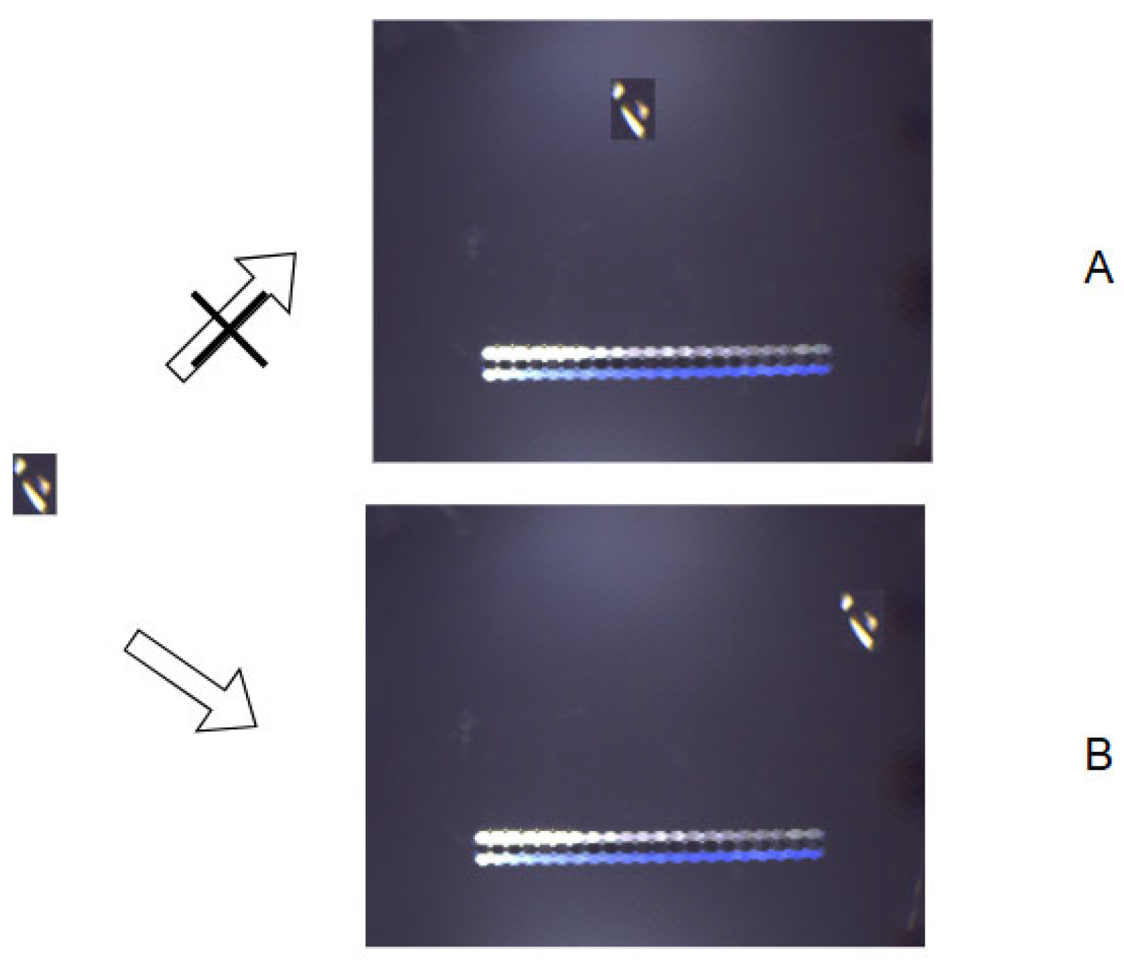 TGDNet: A Multi-Scale Feature Fusion Defect Detection Method for ...