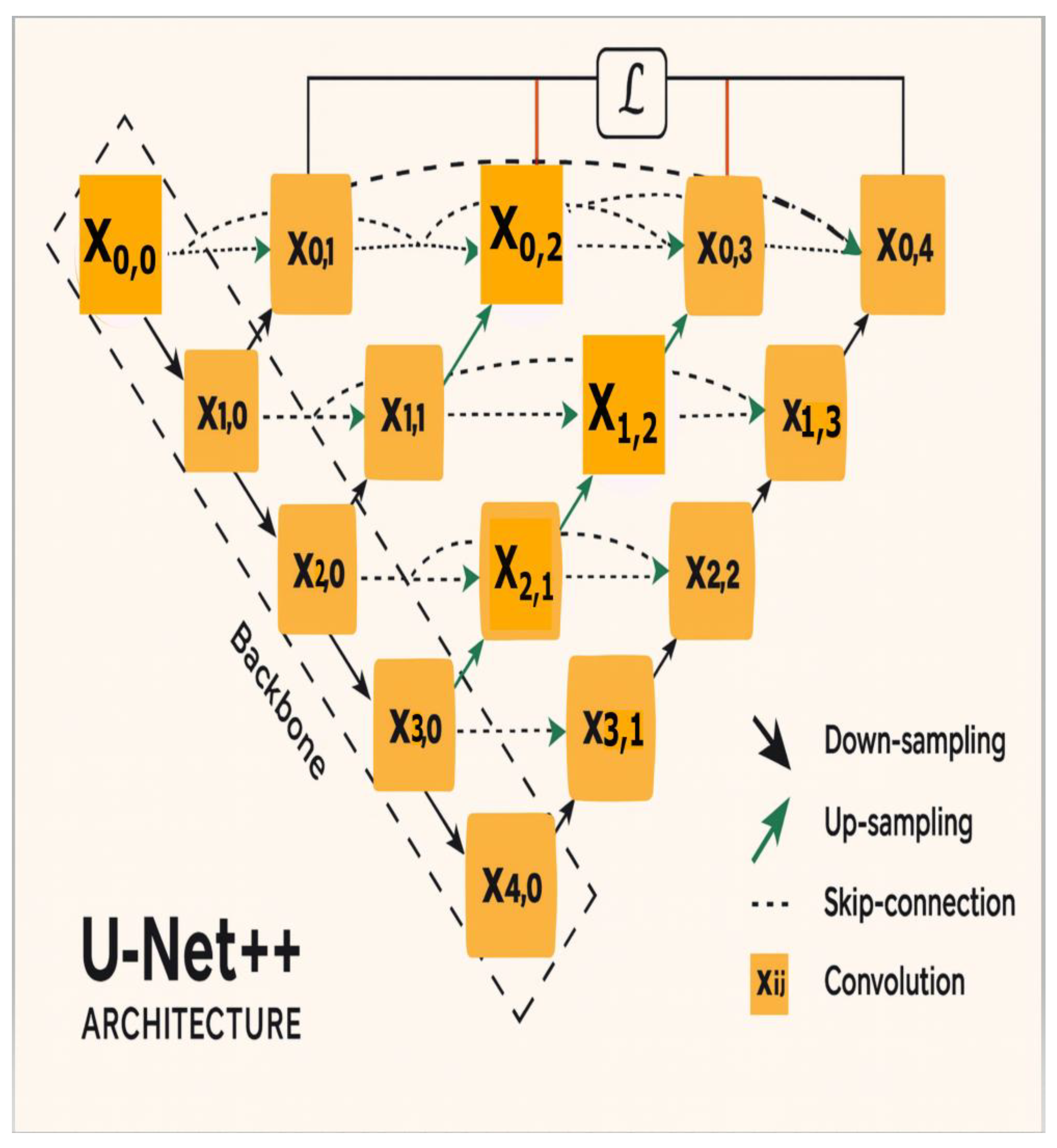 Deep Learning for Tumor Segmentation and Multiclass Classification in Breast Ultrasound Images ...