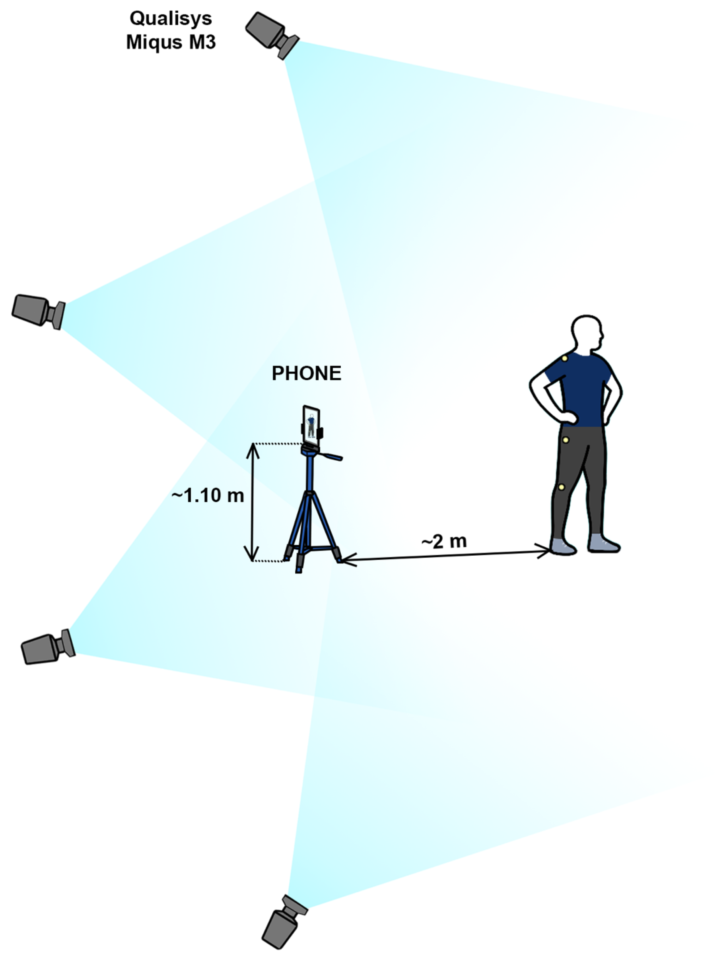 From Laboratory to Field: Concurrent Validity of Kinovea’s Linear ...