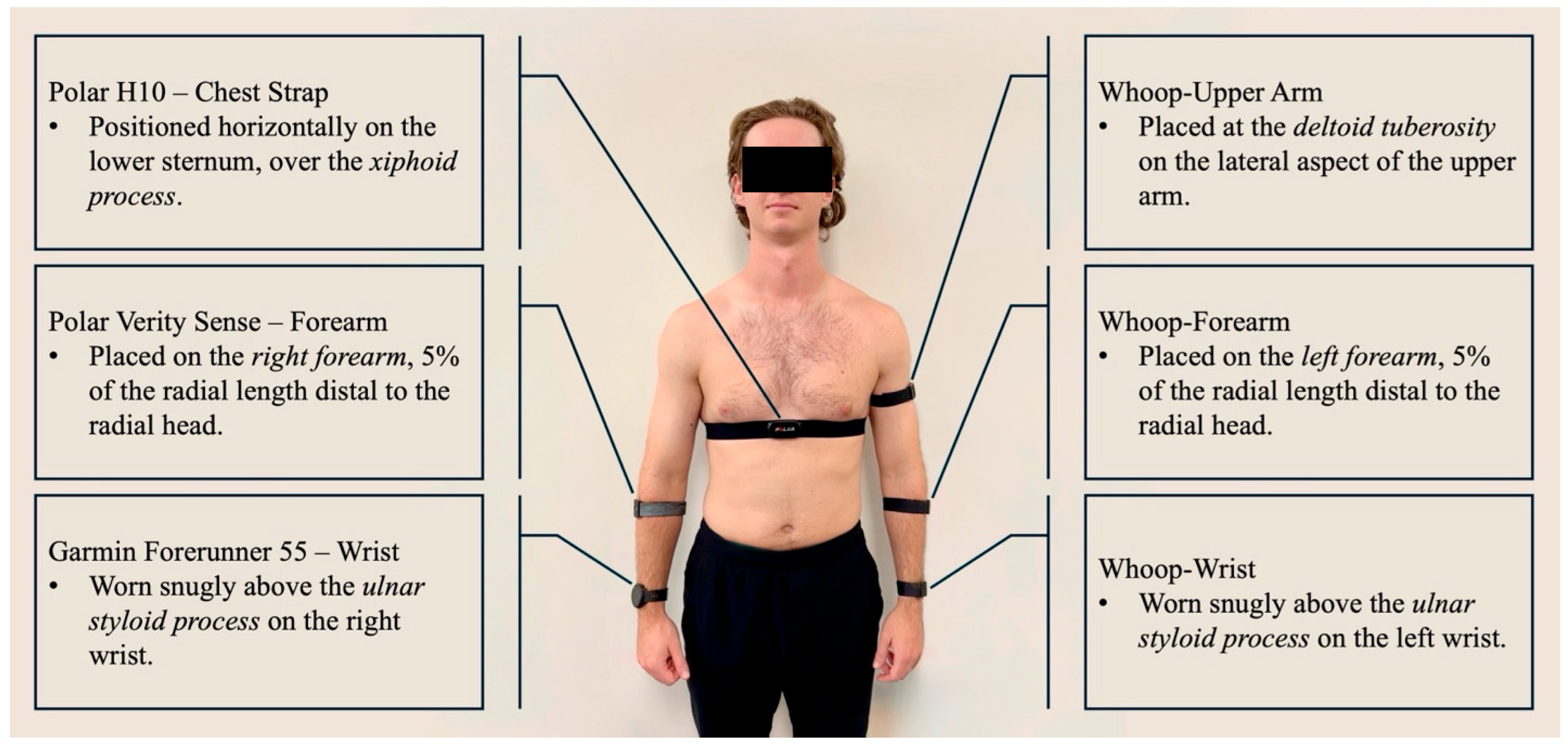 Impact of Anatomical Placement on the Accuracy of Wearable Heart Rate ...