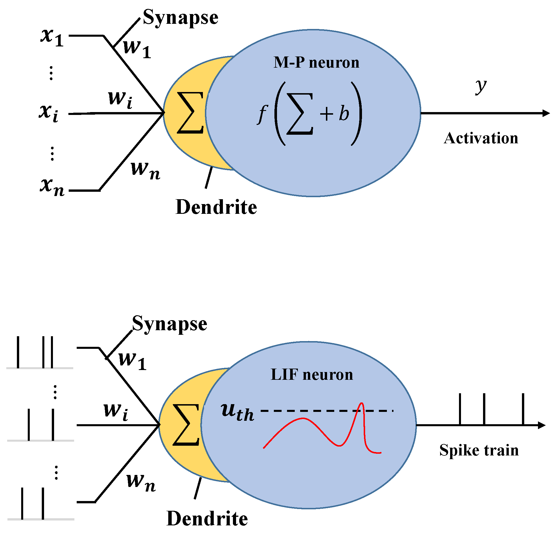 Exploring Quantum-Inspired Encoding Strategies in Neuromorphic Systems ...