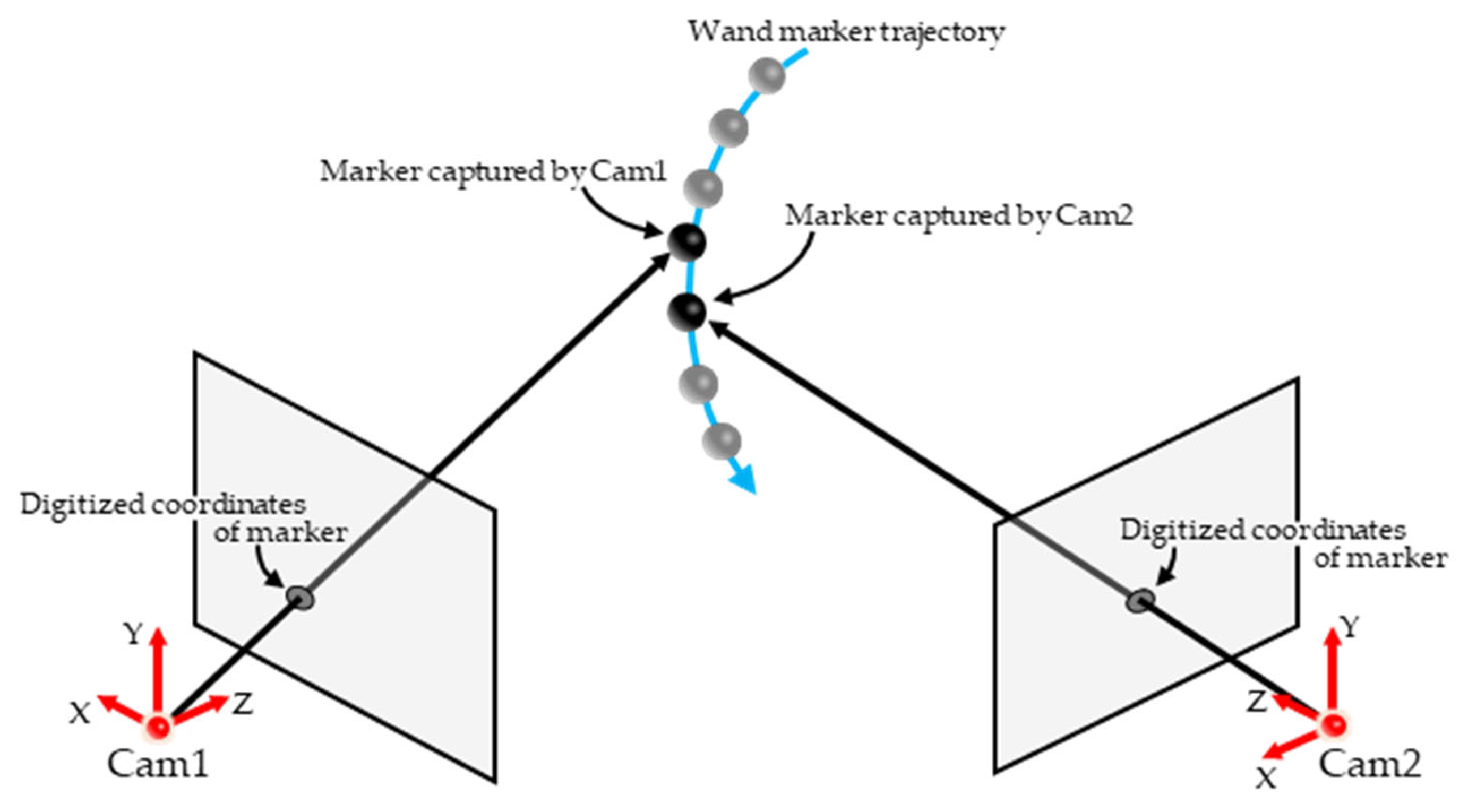 Wand-Based Calibration Accuracy for Unsynchronized Multicamera Systems ...