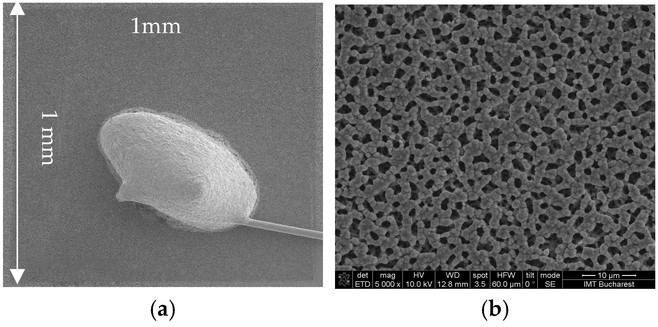 Silicon Nanowire-Based Schottky Diodes for Enhanced Temperature Sensing ...