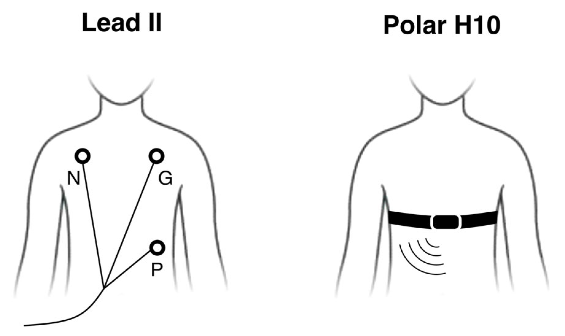 Validity of the Polar H10 for Continuous Measures of Heart Rate and ...
