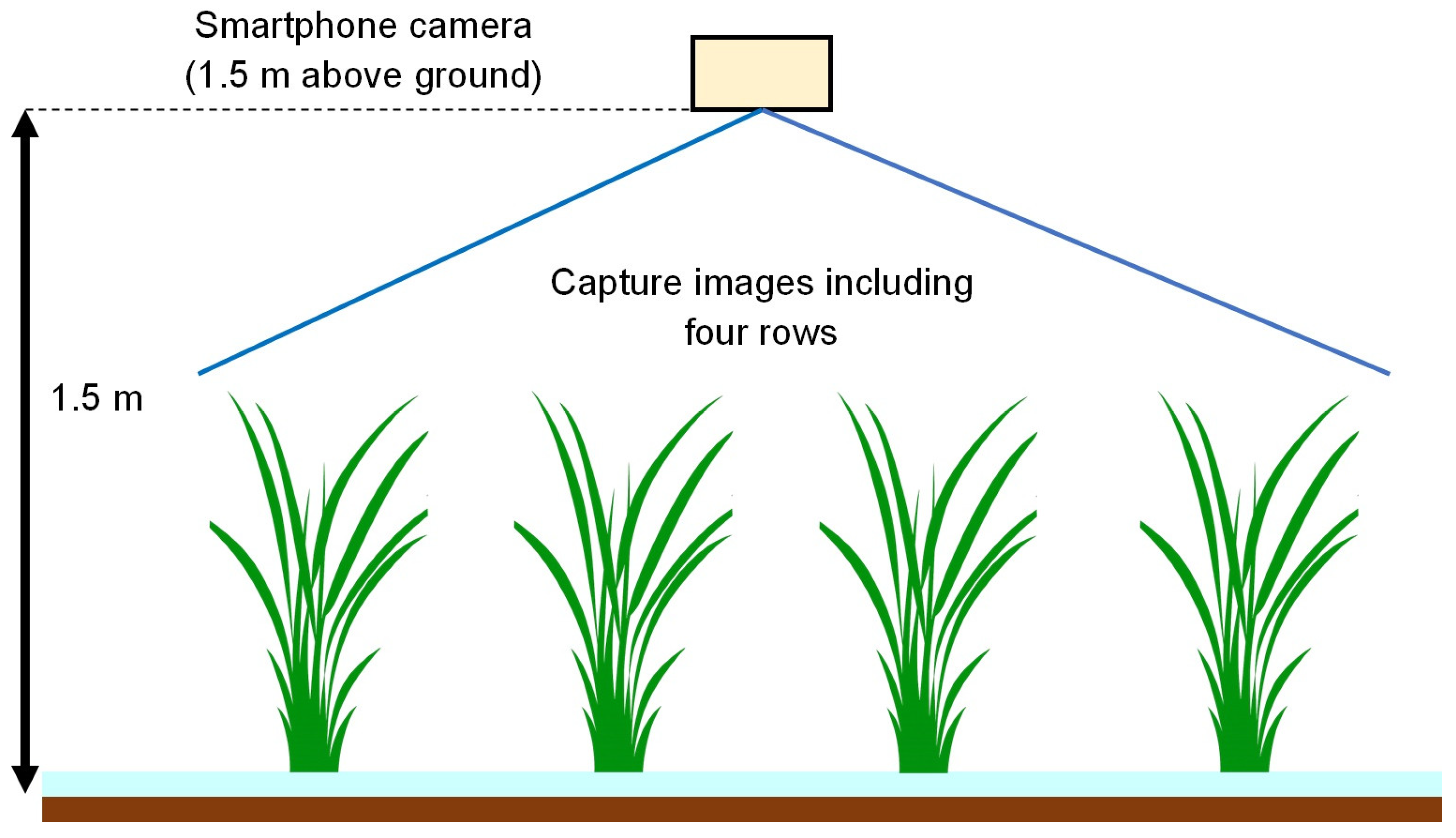 Development and Field Validation of a Smartphone-Based Web Application ...