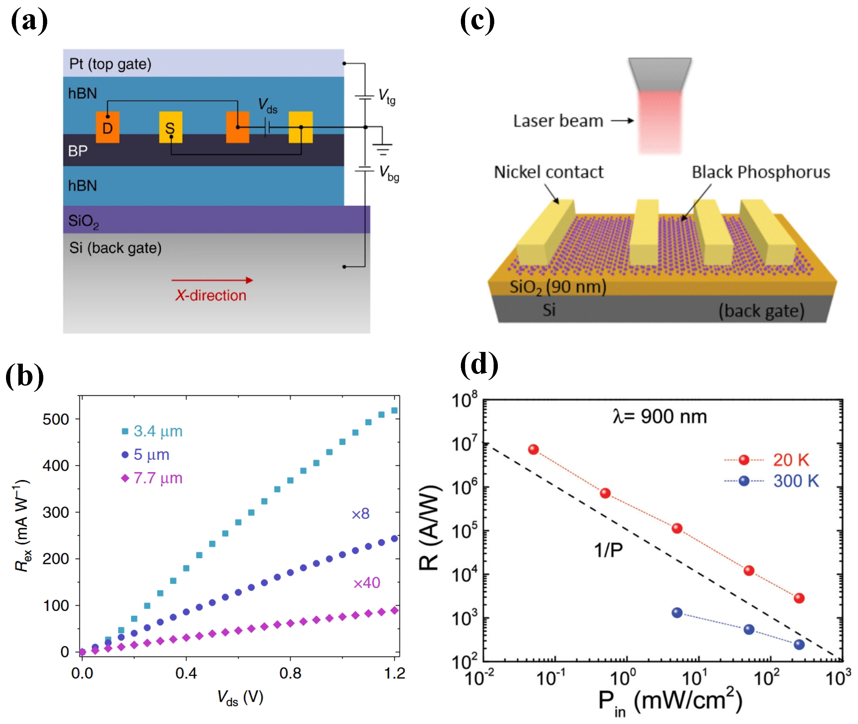 Recent Progress in Silicon-Based On-Chip Integrated Infrared Photodetectors