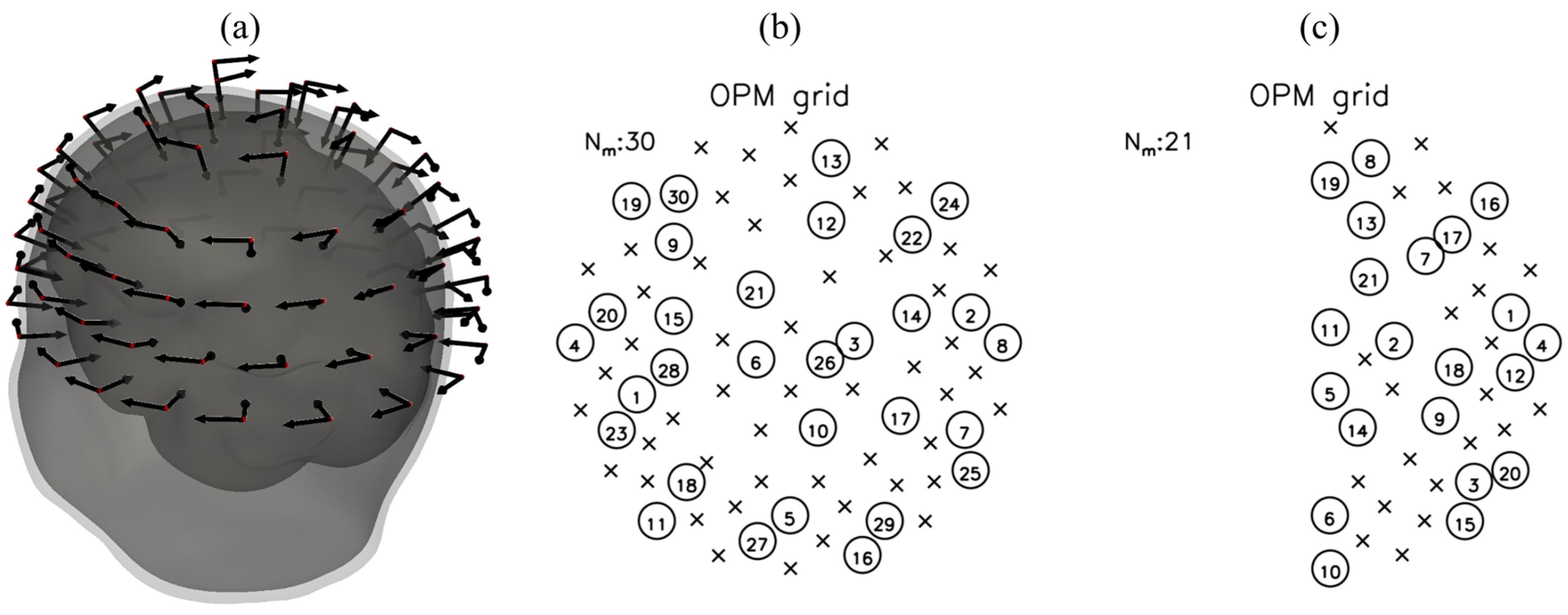 Optimizing OPM-MEG Sensor Layouts Using the Sequential Selection ...