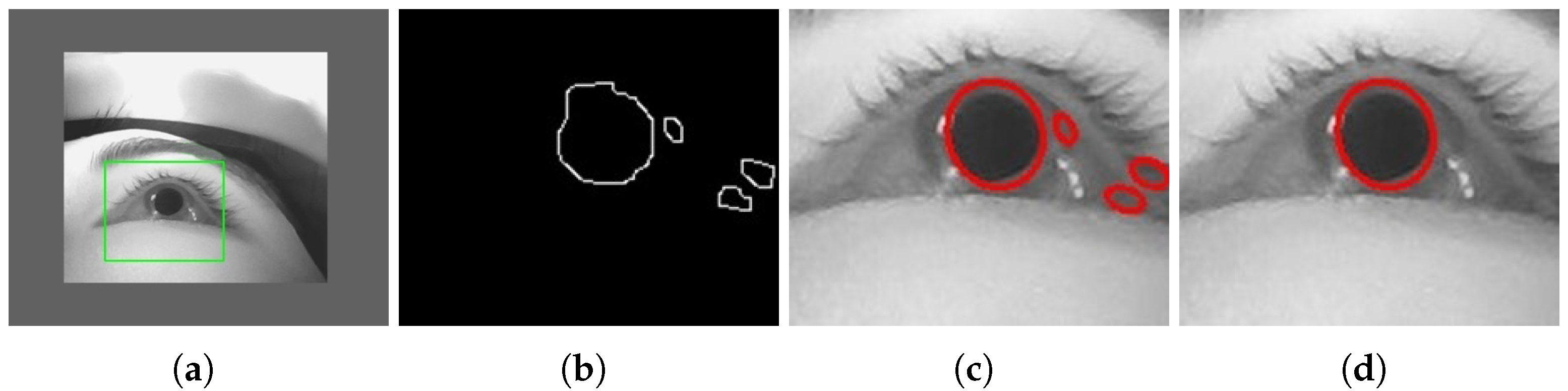 A Comprehensive Eye-Tracking System Toward Large FOV HMD