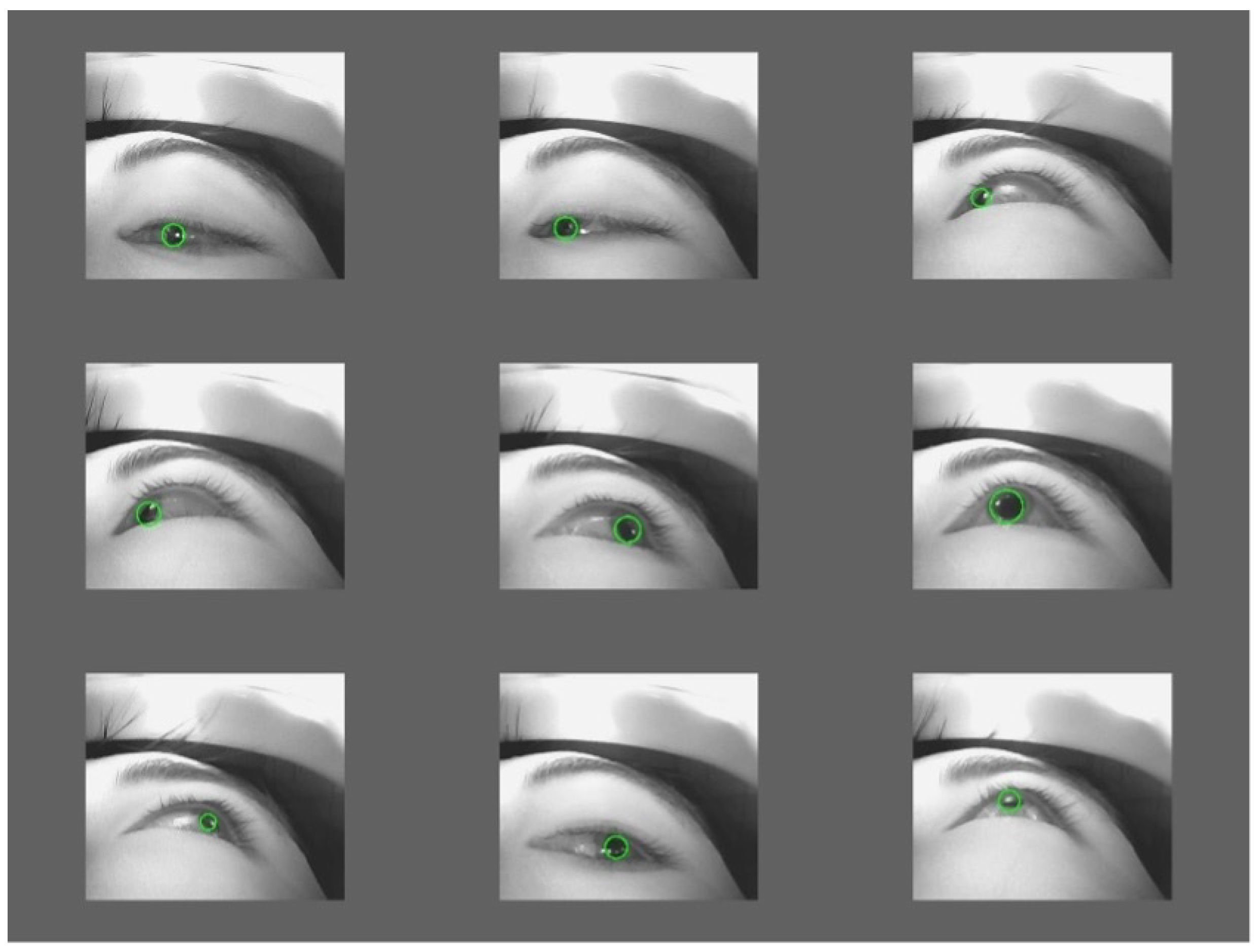 A Comprehensive Eye-Tracking System Toward Large FOV HMD