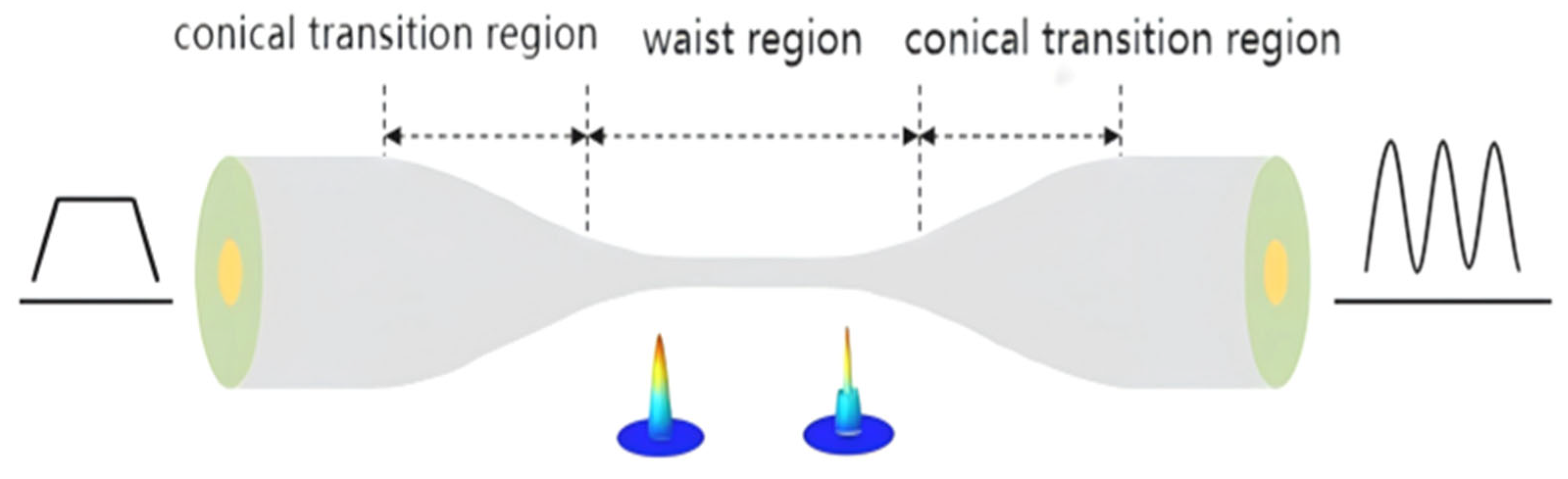 Microfiber Interferometric Sensor for Ultrasound Detection