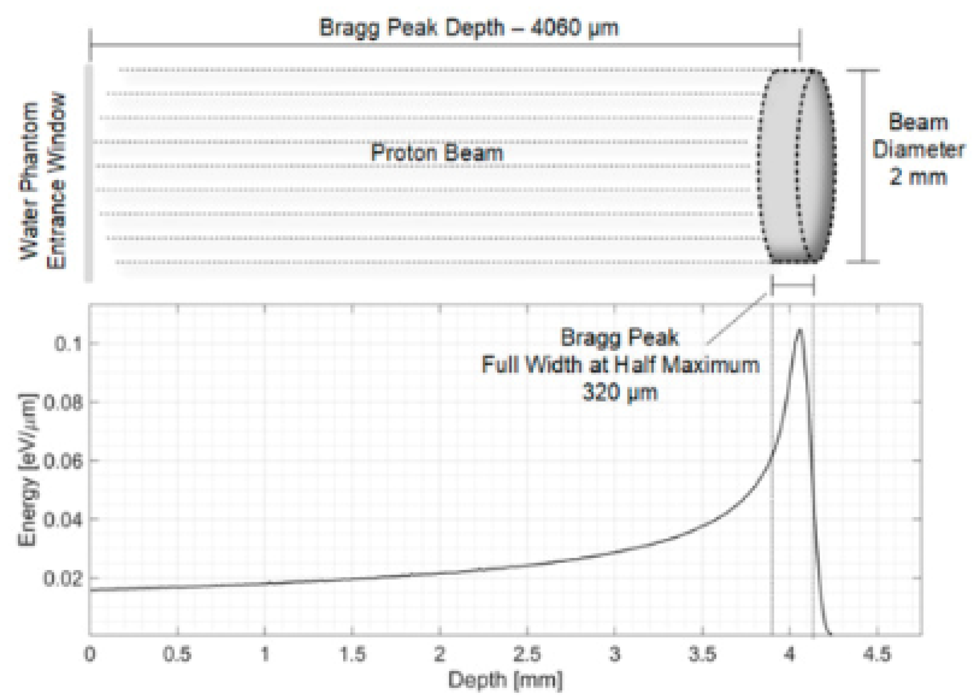 Measurement of Percentage Depth–Dose Distributions in Clinical ...