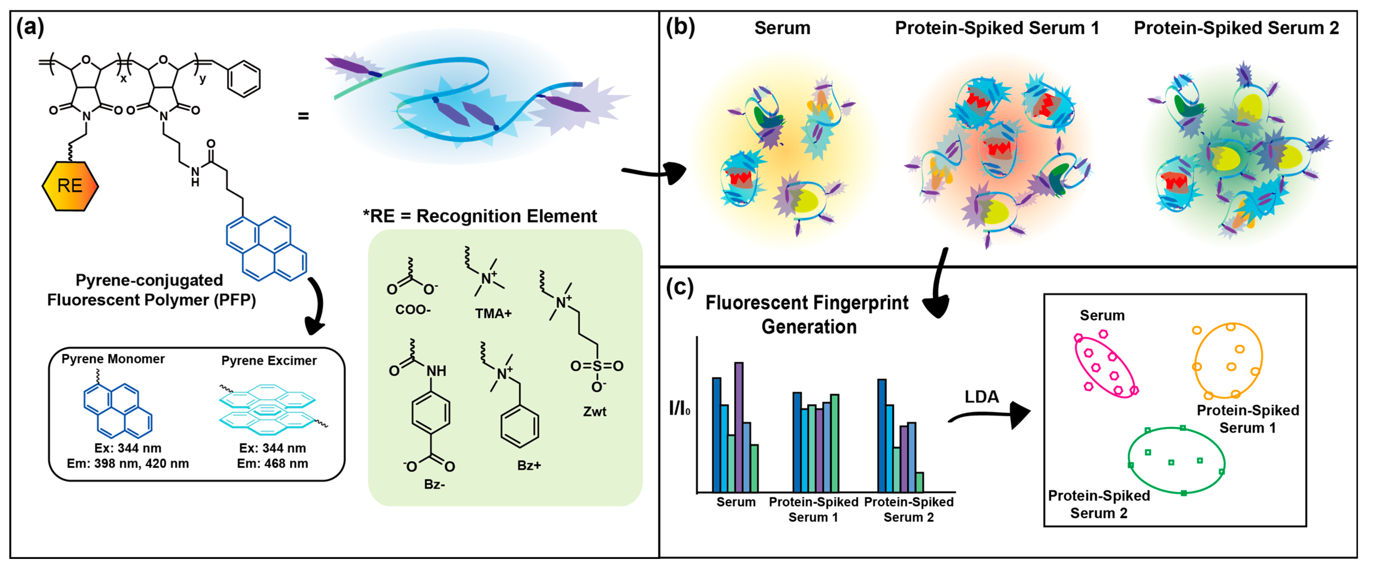 A Sensitive Multichannel Fluorescent Polymer Sensor Array for the ...