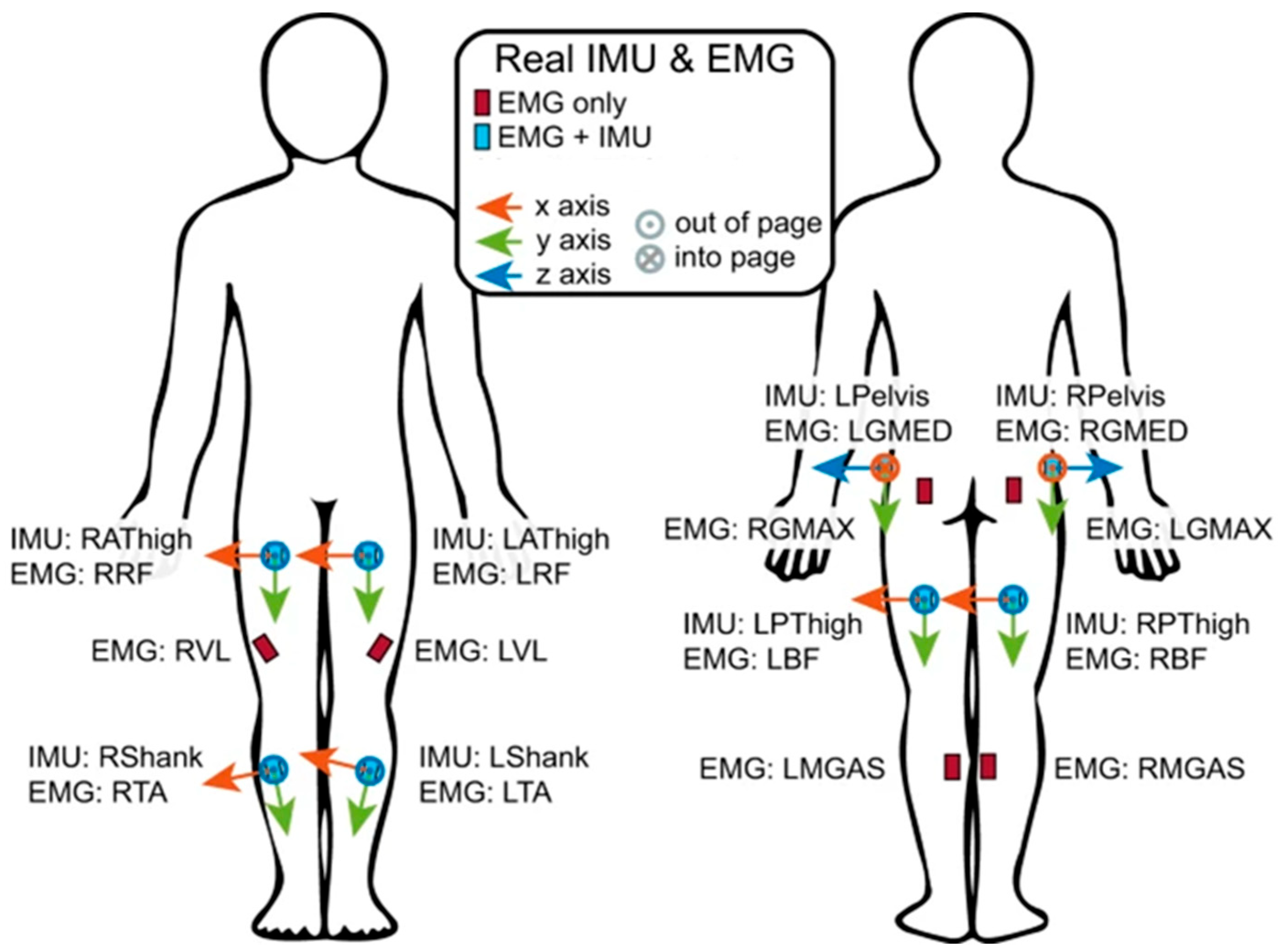 Sagittal-Plane Knee Flexion Moment Estimation Using a Lightweight Deep ...