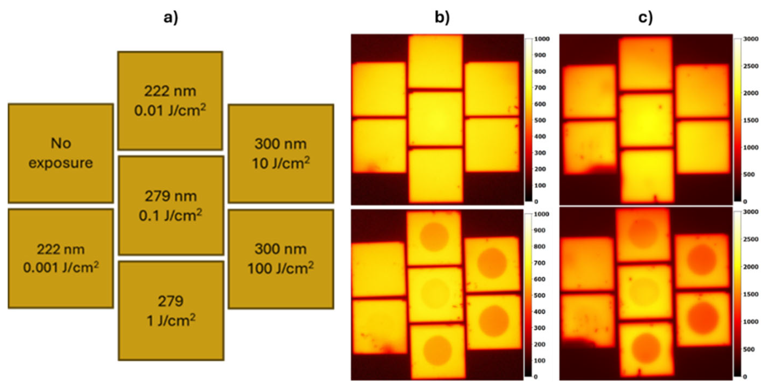Improving UV Stability of SiO2/SiNx-Passivated Silicon Photodiodes ...