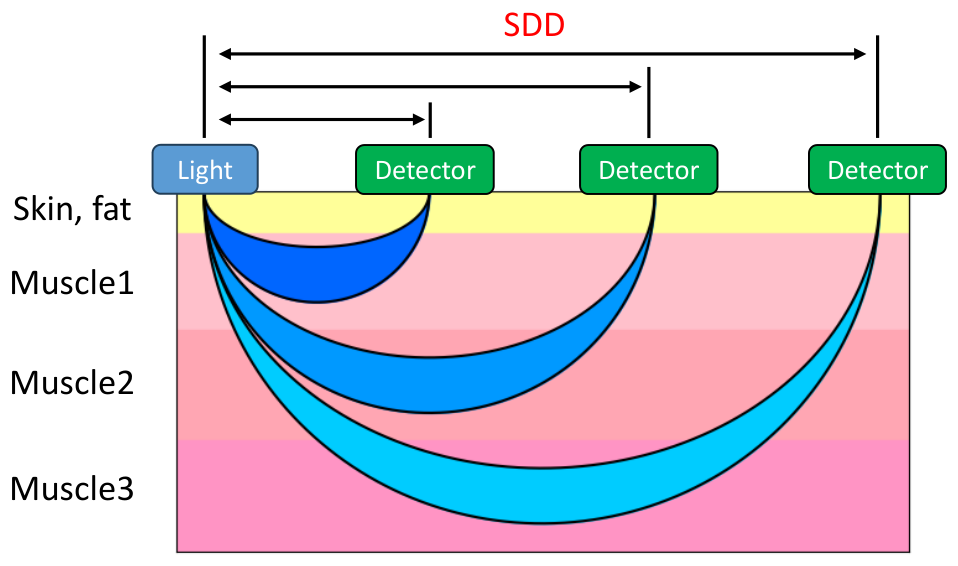 Depth-Sensitive Optical Sensing for Non-Invasive Measurement of Human ...