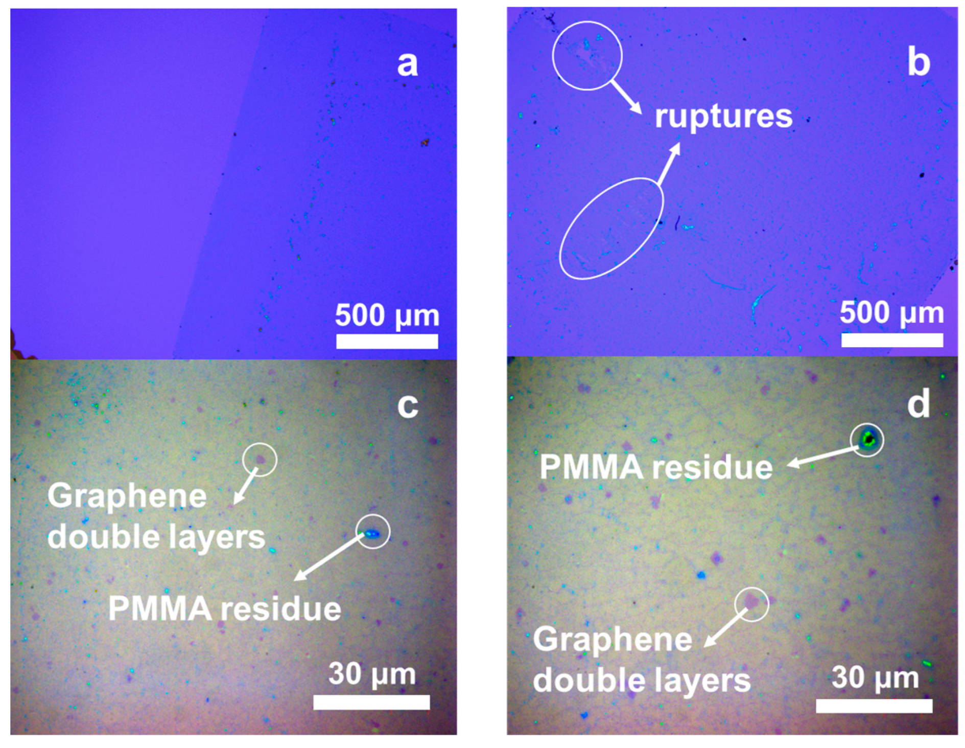 A Closed-Loop Solvent Recycling Device for Polymer Removal in Graphene ...