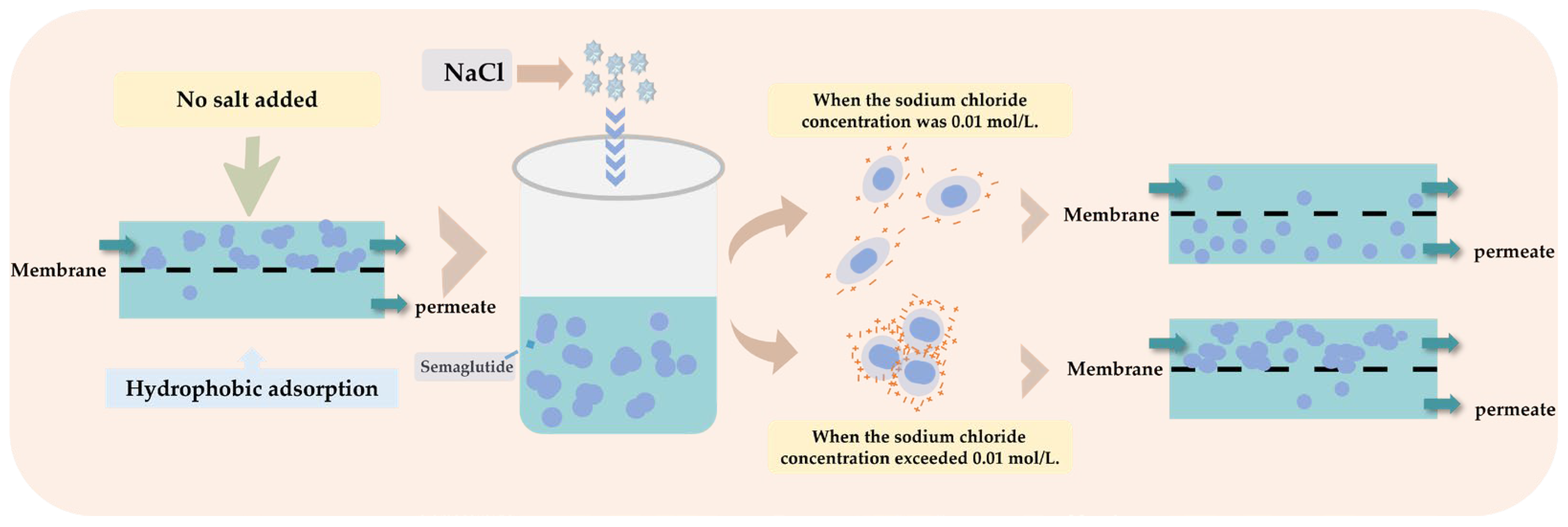 Effects of pH and Salts on the Aggregation State of Semaglutide and ...