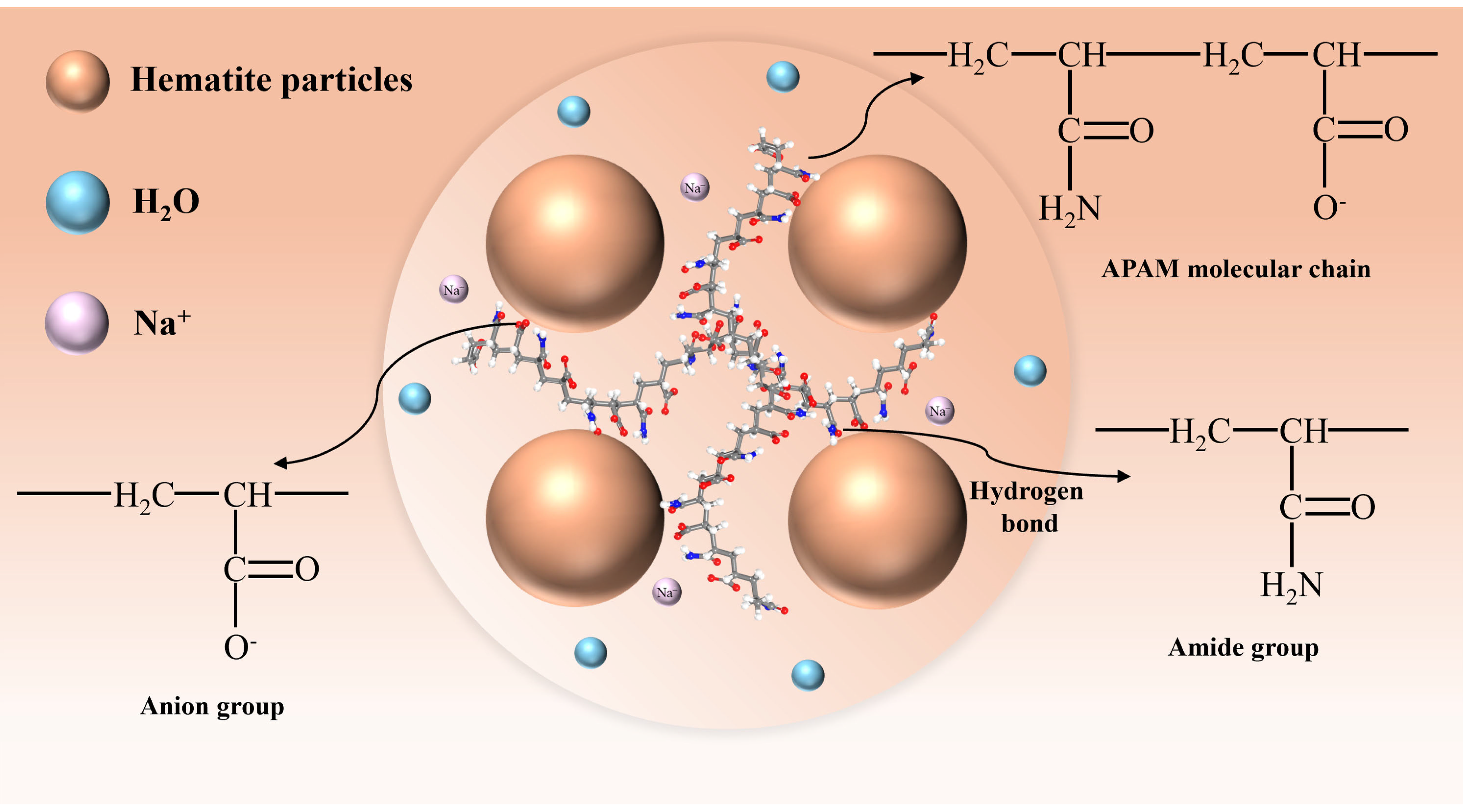 Influence of Anionic Polyacrylamide Molecular Weight on Ultrafine ...