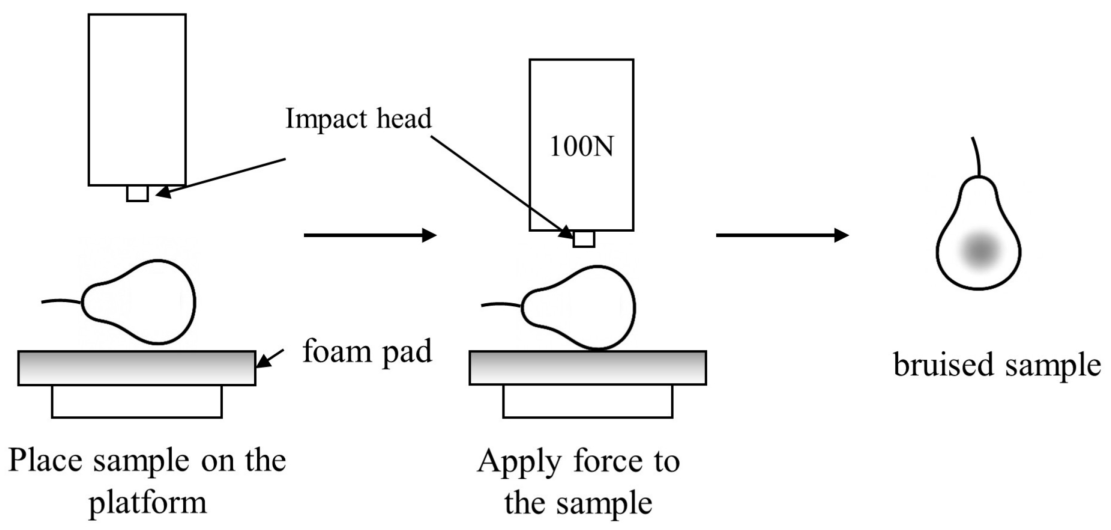 Nondestructive Detection of Early Subsurface Bruises in Fragrant Pears ...