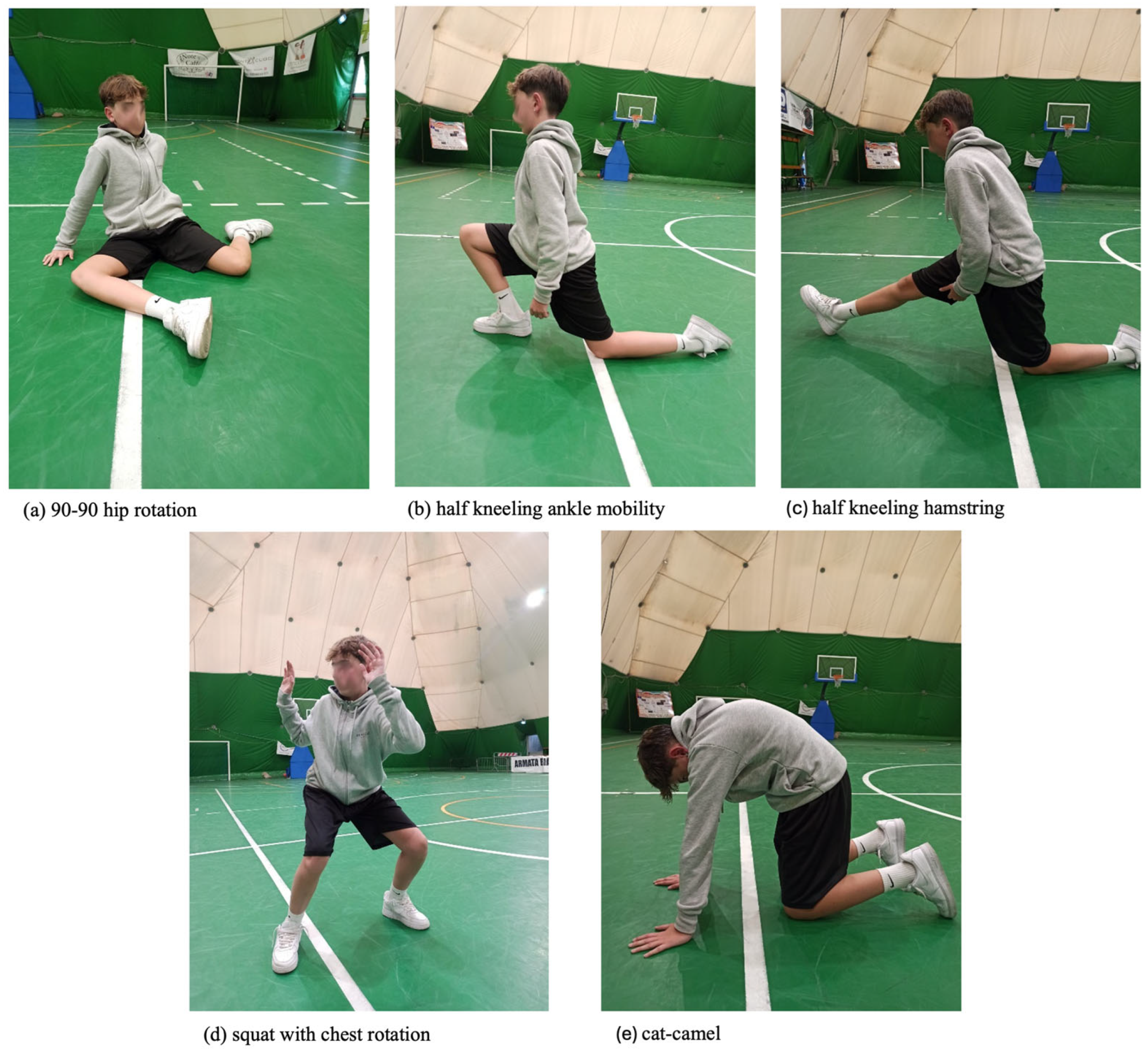 Comparison of the Core Training and Mobility Training Effects on ...