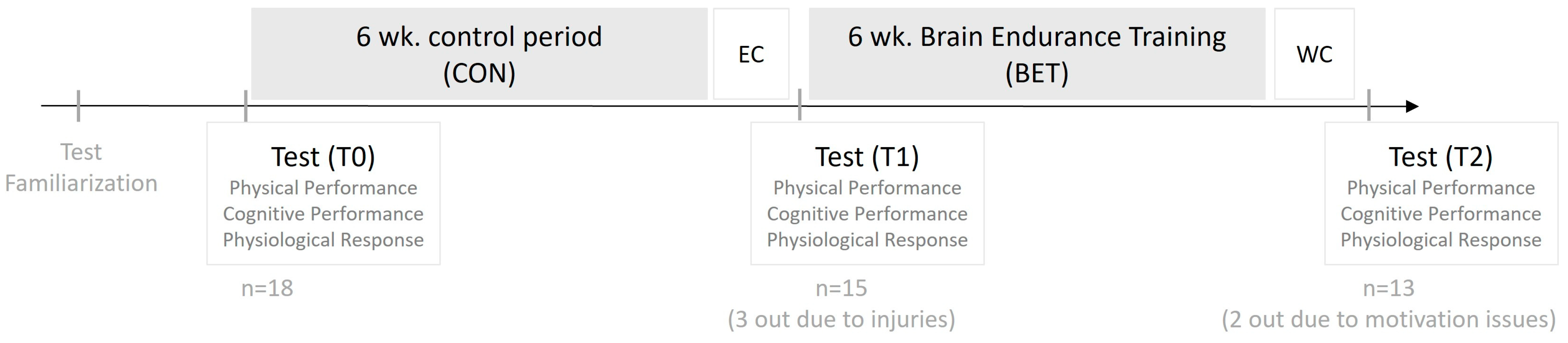 The Effect of Sport-Specific Brain Endurance Training on Performance in ...