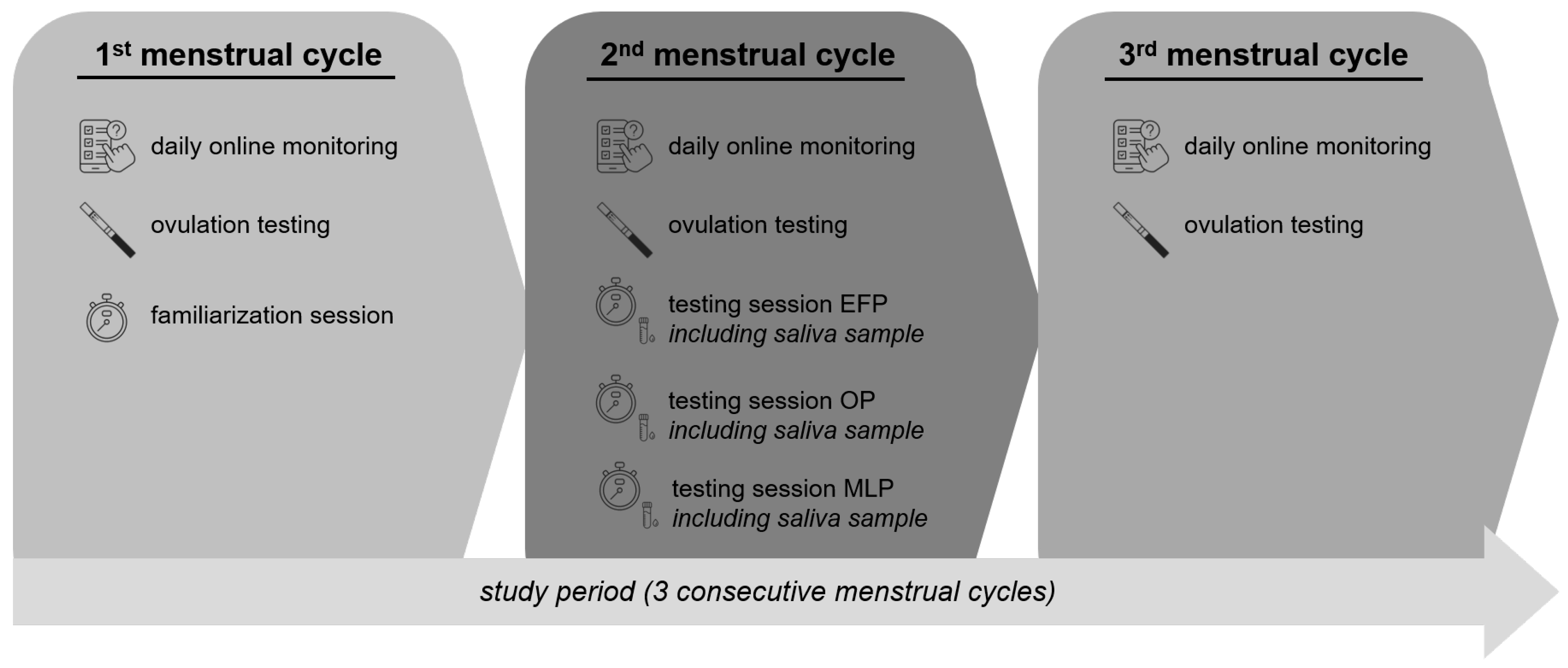 The Influence of Menstrual Cycle Phase and Urinary Incontinence on ...