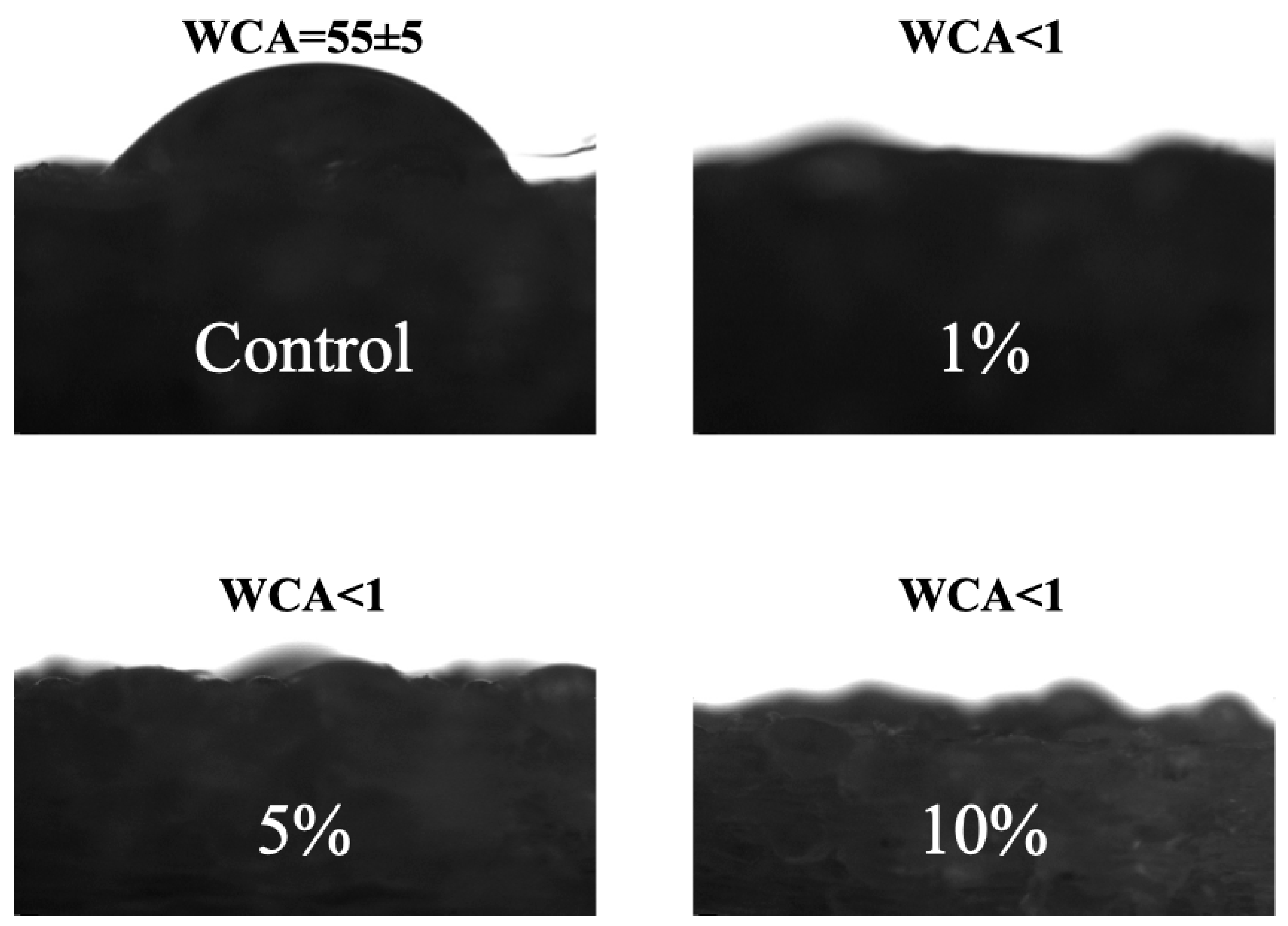Immobilization of Hydroxyapatite on the Surface of Porous Piezoelectric ...