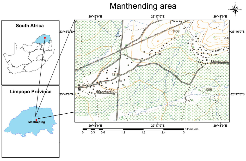 Sustainable Use and Management of Indigenous Plant Resources: A Case of ...