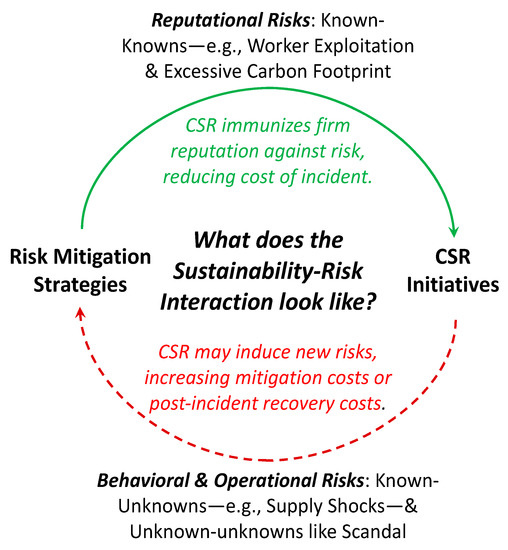 What Does the Sustainability-Risk Interaction Look Like? Exploring ...