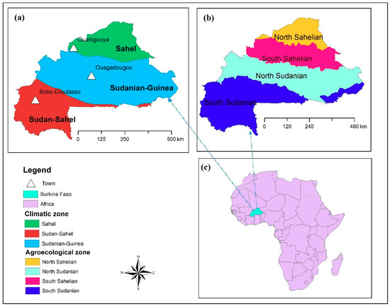 Soil and Water Conservation in Burkina Faso, West Africa