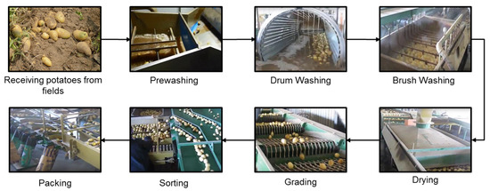 Monitoring Potato Waste in Food Manufacturing Using Image Processing ...