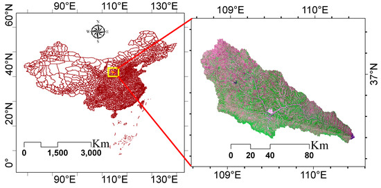 The Impact of China’s Grain for Green Program on Rural Economy and ...