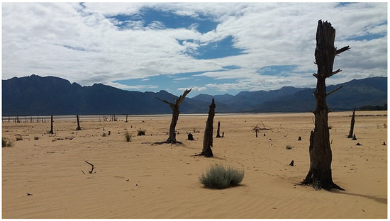 Collective Responses to the 2018 Water Shortage in Cape Town: An ...