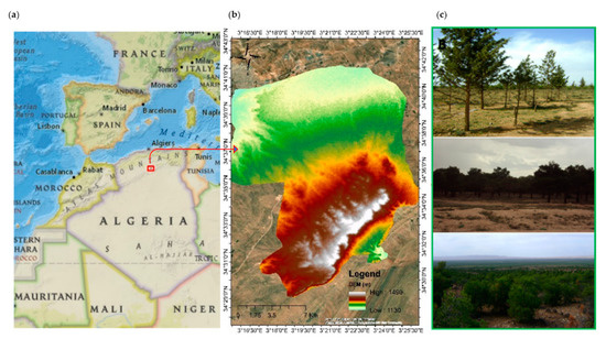 Monitoring the Spatiotemporal Evolution of the Green Dam in Djelfa ...