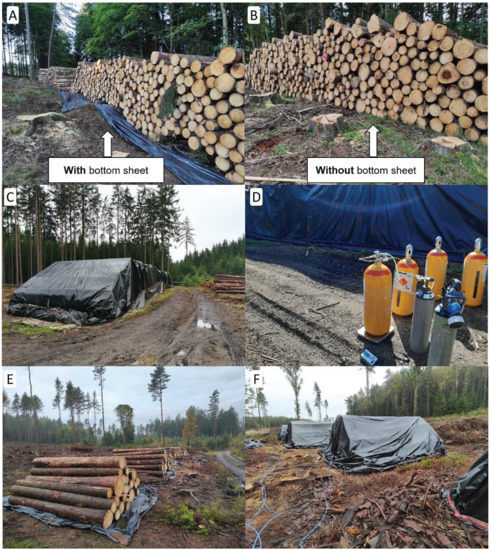 Fumigation of Insect-Infested Wooden Logs by EDN Using Two Scenarios of ...