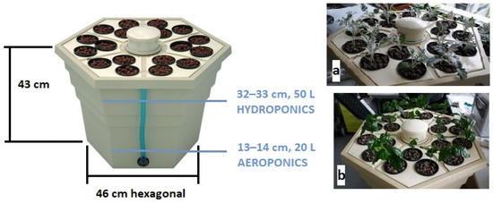 A Comparative LCA of Aeroponic, Hydroponic, and Soil Cultivations of ...