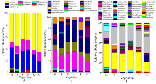 Characteristics of Soil Macrofauna and Its Coupling Relationship with ...