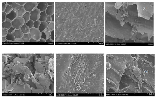 Investigating the Effects of Aerobic Hydrolysis on Scum Layer Formation ...