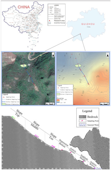 The Characteristics of Soil Ca and Mg Leakage in a Karst Depression