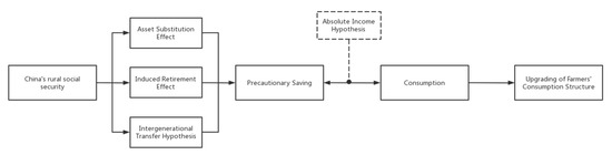 Sustainability | Free Full-Text | Rural Social Security, Precautionary ...