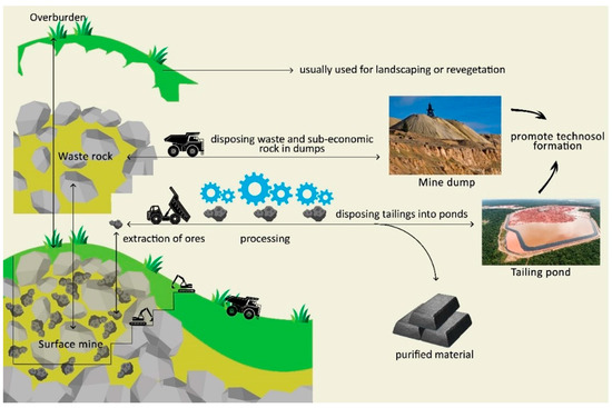 Bringing Life Back into Former Mining Sites: A Mini-Review on Soil ...