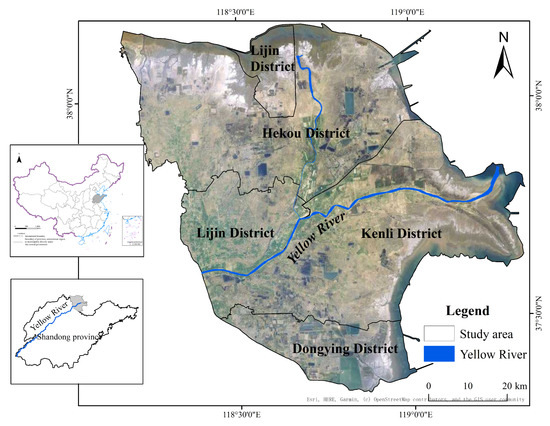 Ecological Effects of Surface Water Evolution in the Yellow River Delta