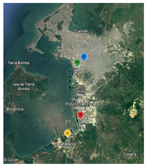 Characterization of Microplastics in Total Atmospheric Deposition ...