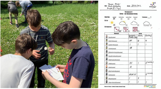 Be(e) Engaged! How Students Benefit from an Educational Citizen Science ...