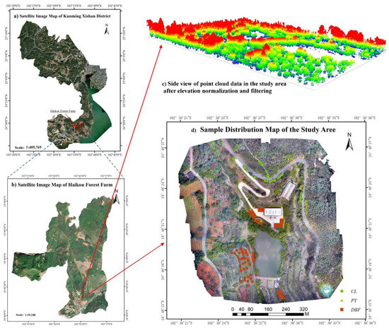 Biomass Estimation of Subtropical Arboreal Forest at Single Tree Scale ...