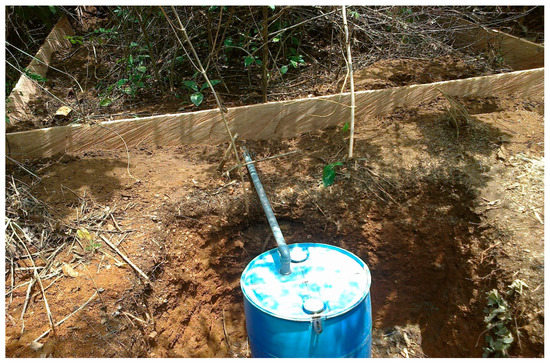 Runoff, Sediment Loss and the Attenuating Effectiveness of Vegetation ...